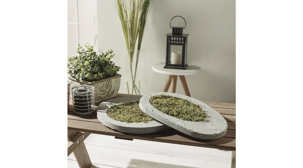 PLUİE FİN BETON DUVAR BİTKİSİ VE DEKORU FİYATI - Vivense