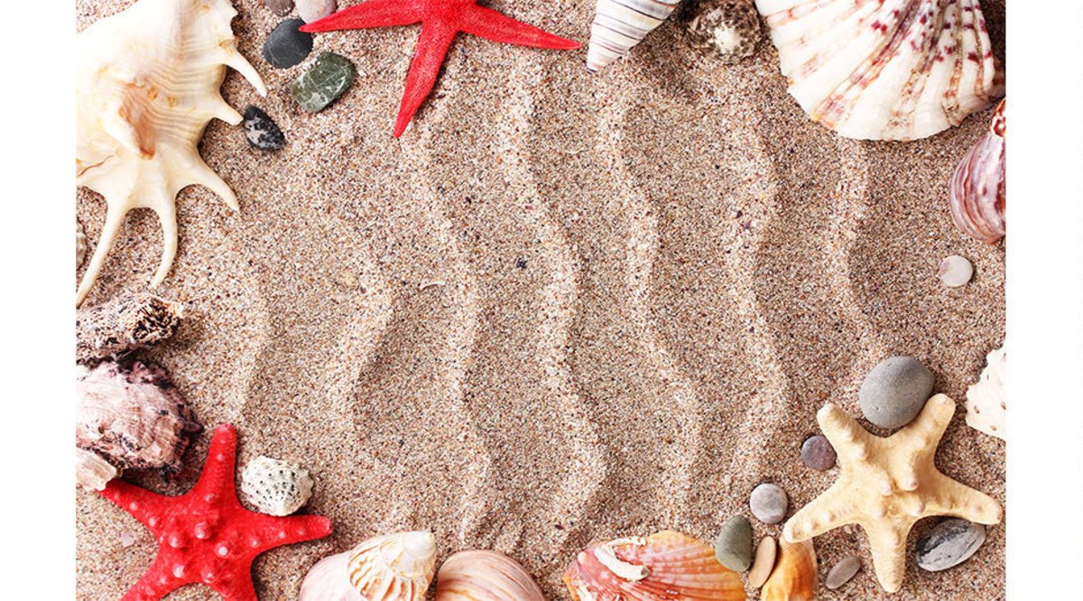 LARA DENİZ YILDIZI HALI 90X140 FİYATI - Vivense